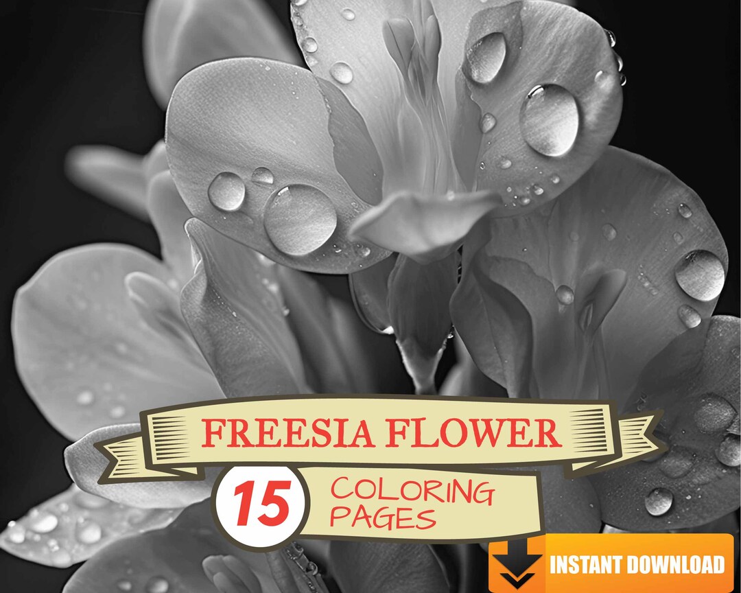 Freesia Flower Coloring Pages, 15 Premium Coloring Sheets for Adult and ...