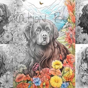 Newfoundland Dog Flowers Coloring Pages, 20 Premium Adult & Kids ...