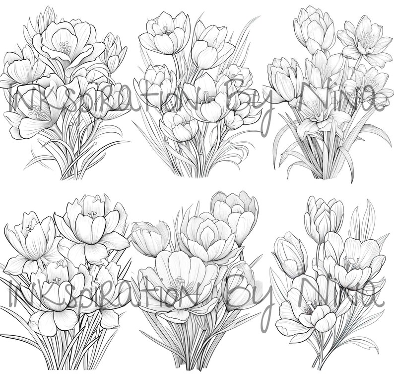 Crocus Flower Coloring Book, 30 Detailed Floral Greyscale Adult & Kids ...