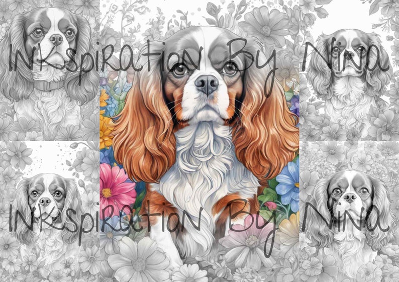 Cavalier King Charles Spaniel Outdoors Coloring Book, 45 Detail ...