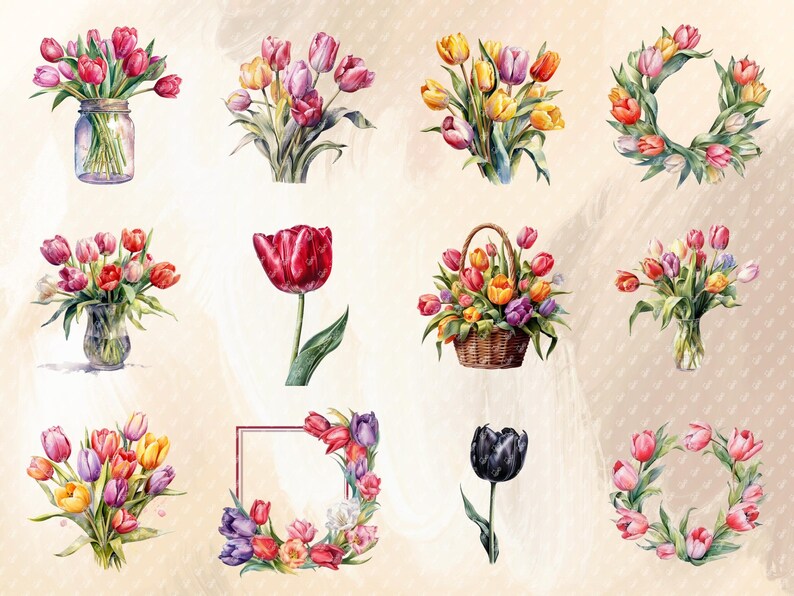 Watercolor Tulip Clipart - Different Colored Tulips, Bouquets, Wreaths ...