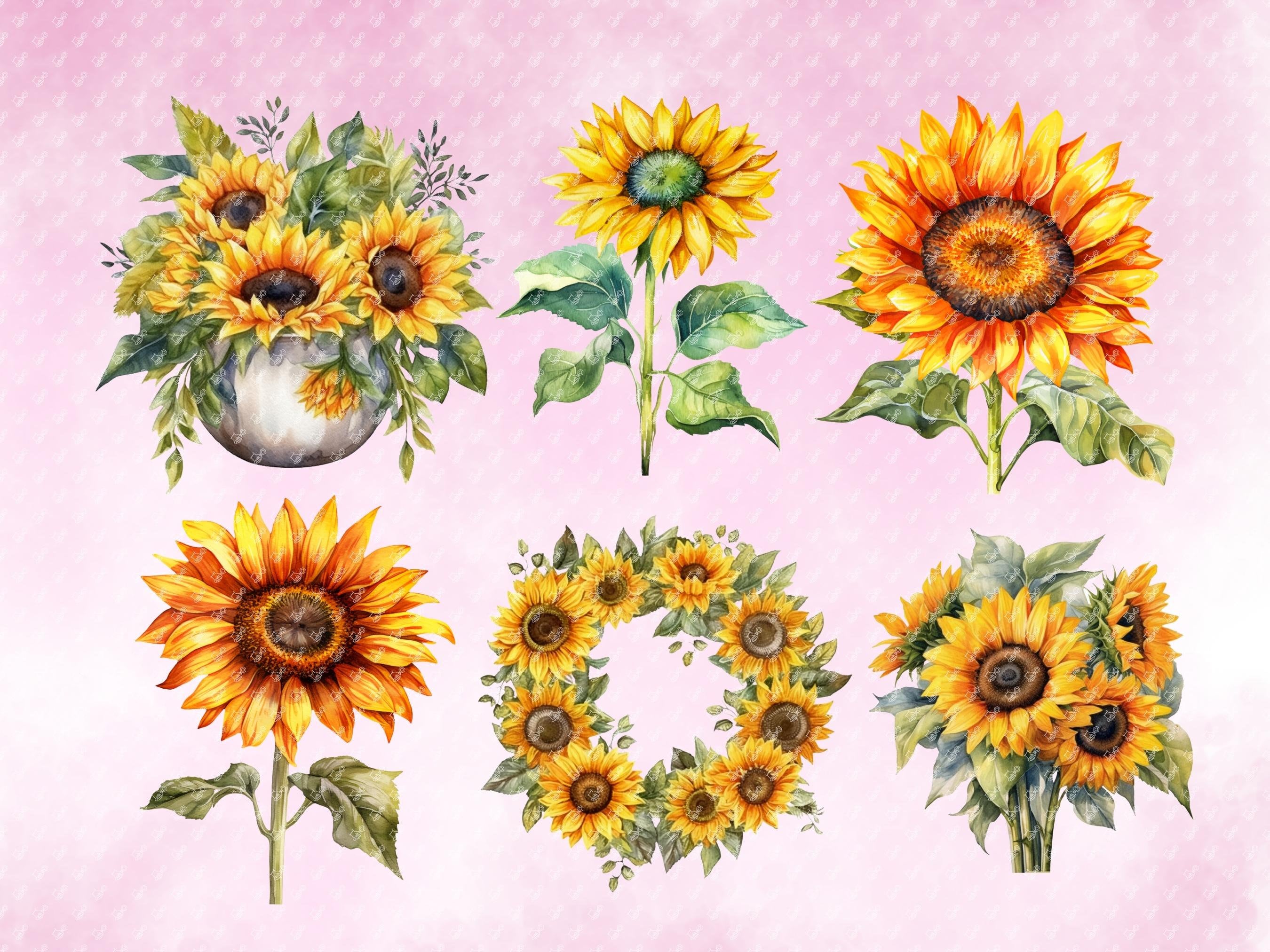 Watercolor Sunflower Clipart Sunflowers Bouquets and - Etsy