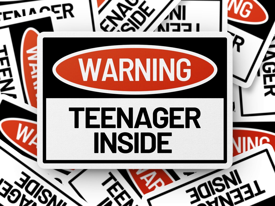 Funny Warning Sticker, Teenager Sticker, Sign Sticker, Laptop Sticker ...