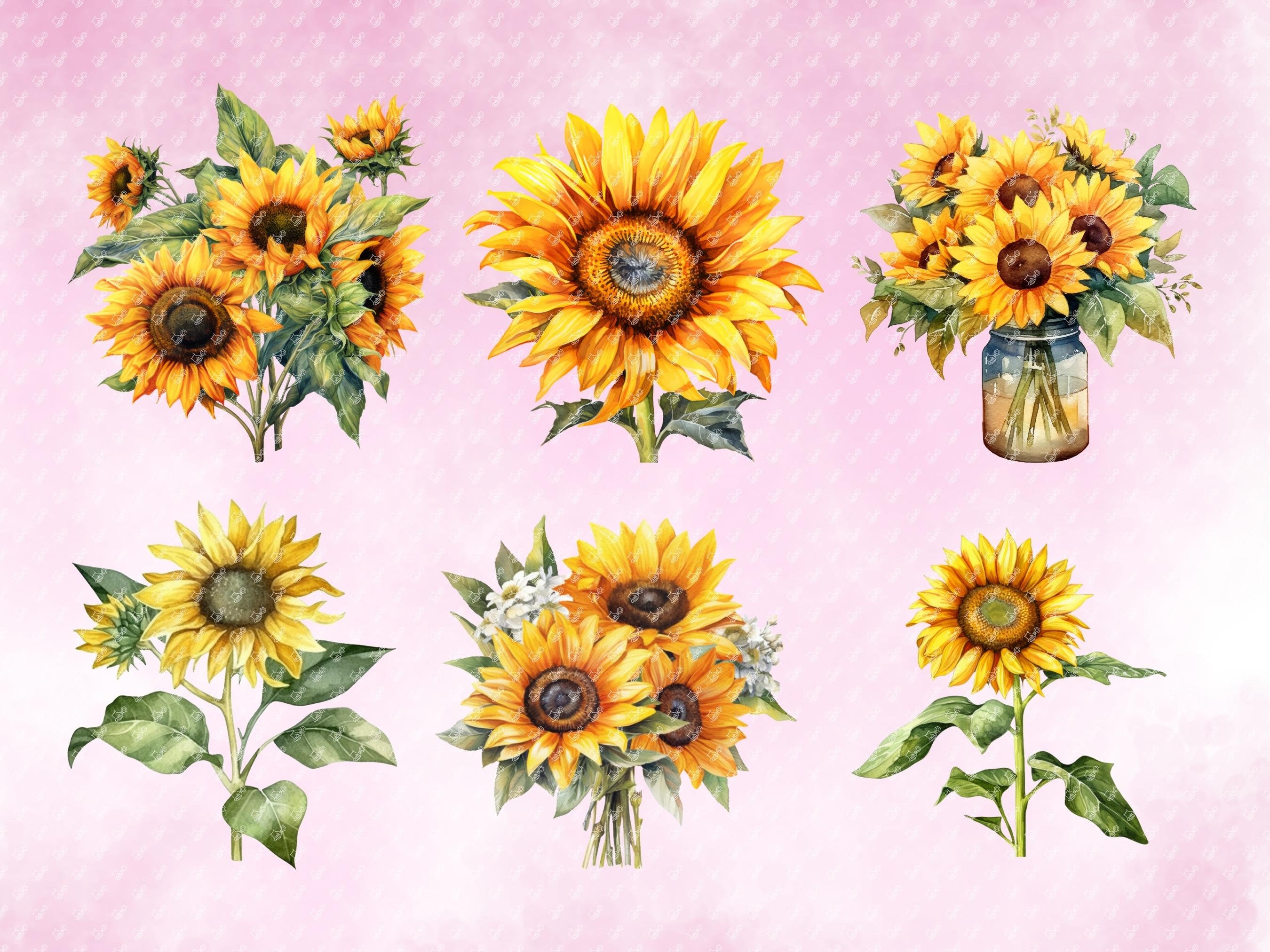 Watercolor Sunflower Clipart Sunflowers Bouquets and - Etsy