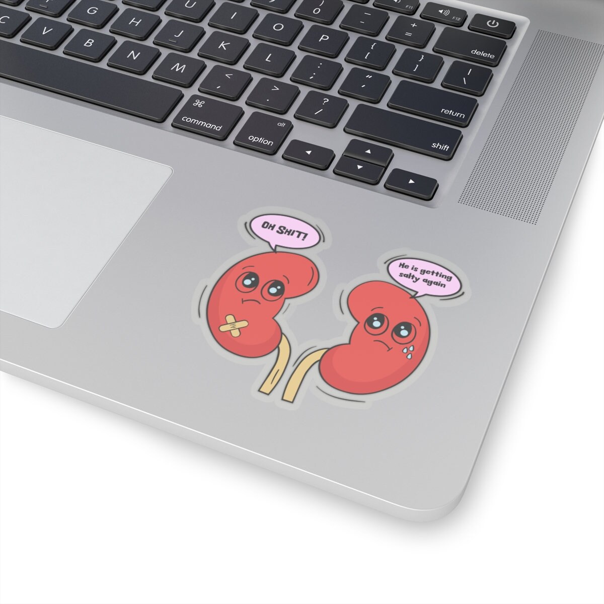 He is Salty, Funny Kidneys Sticker, Renal Sticker, Sarcastic Anatomy ...