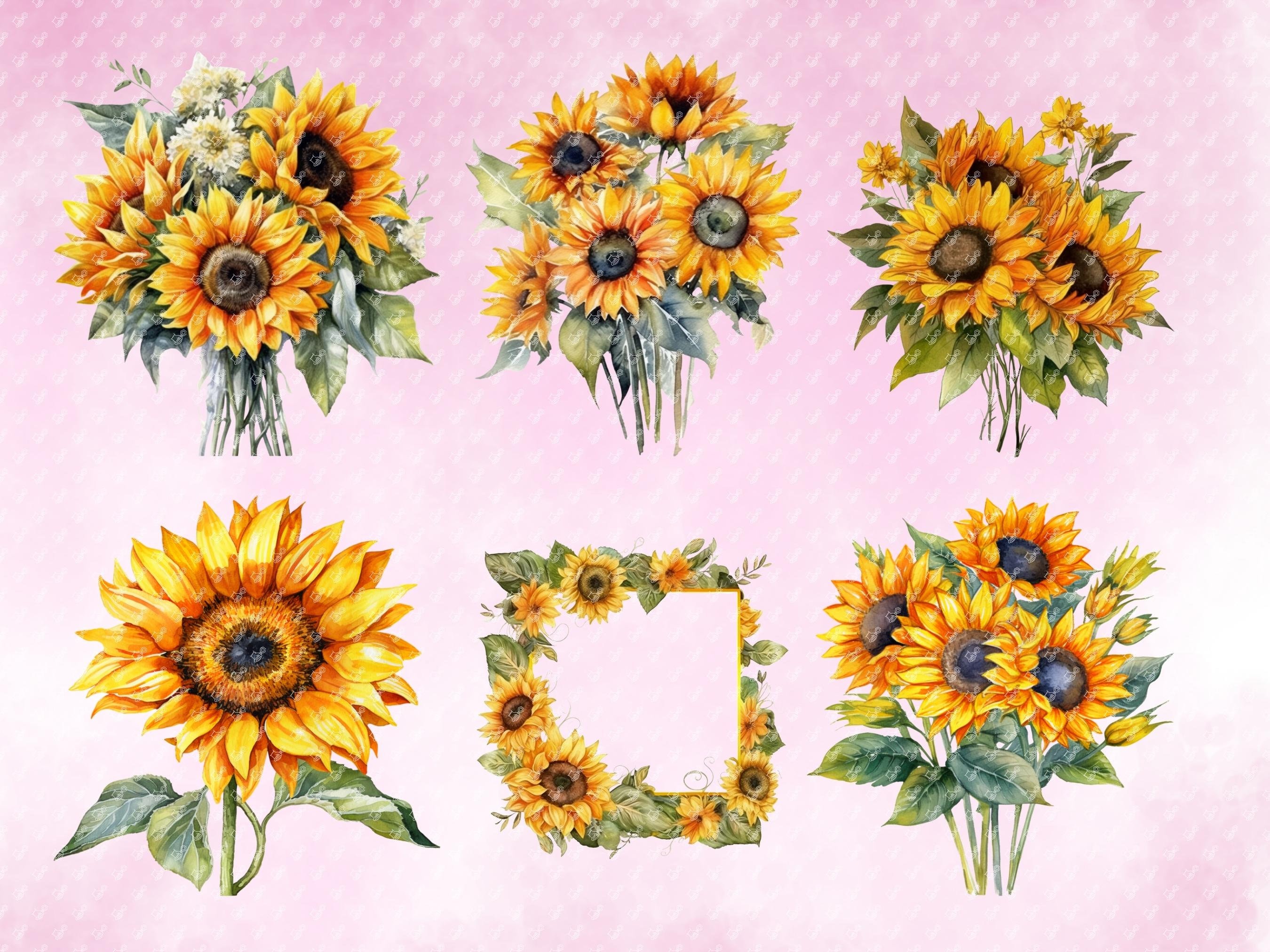 Watercolor Sunflower Clipart Sunflowers Bouquets and - Etsy