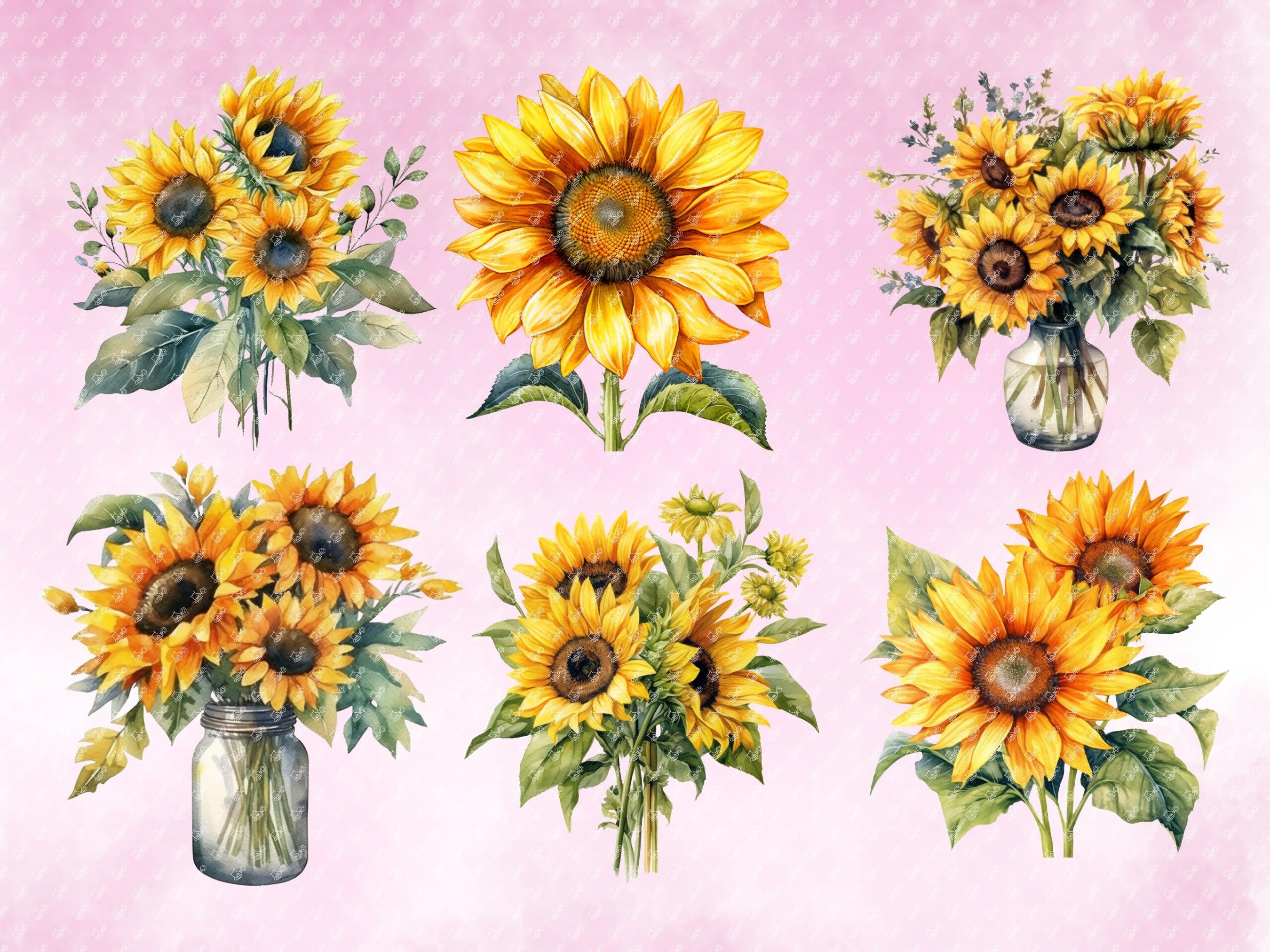 Watercolor Sunflower Clipart Sunflowers Bouquets and - Etsy