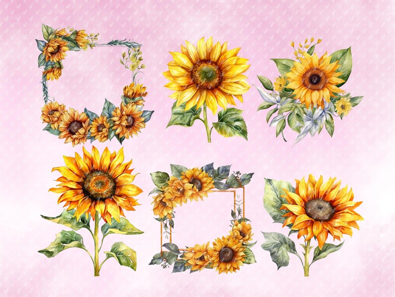 Watercolor Sunflower Clipart Sunflowers Bouquets and - Etsy