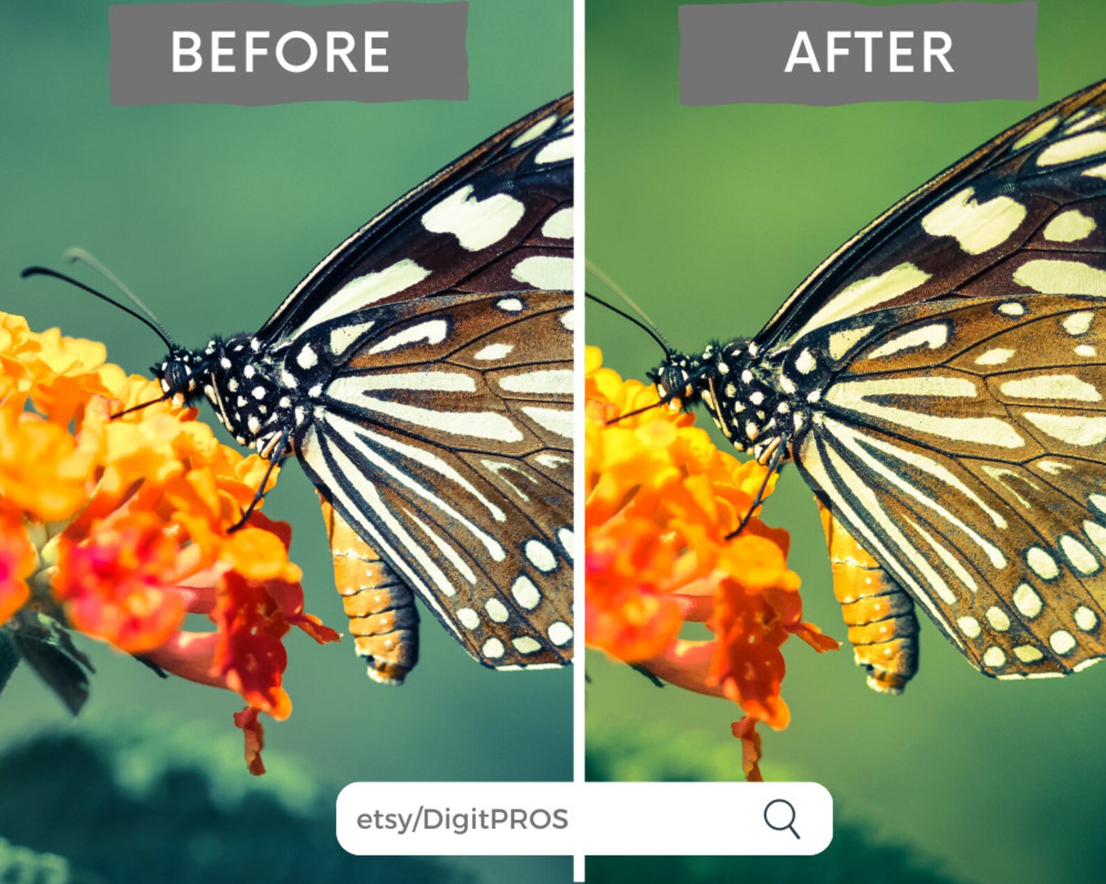 85 Cross Process Photoshop Actions: Vibrant Photo Effects (instant ...