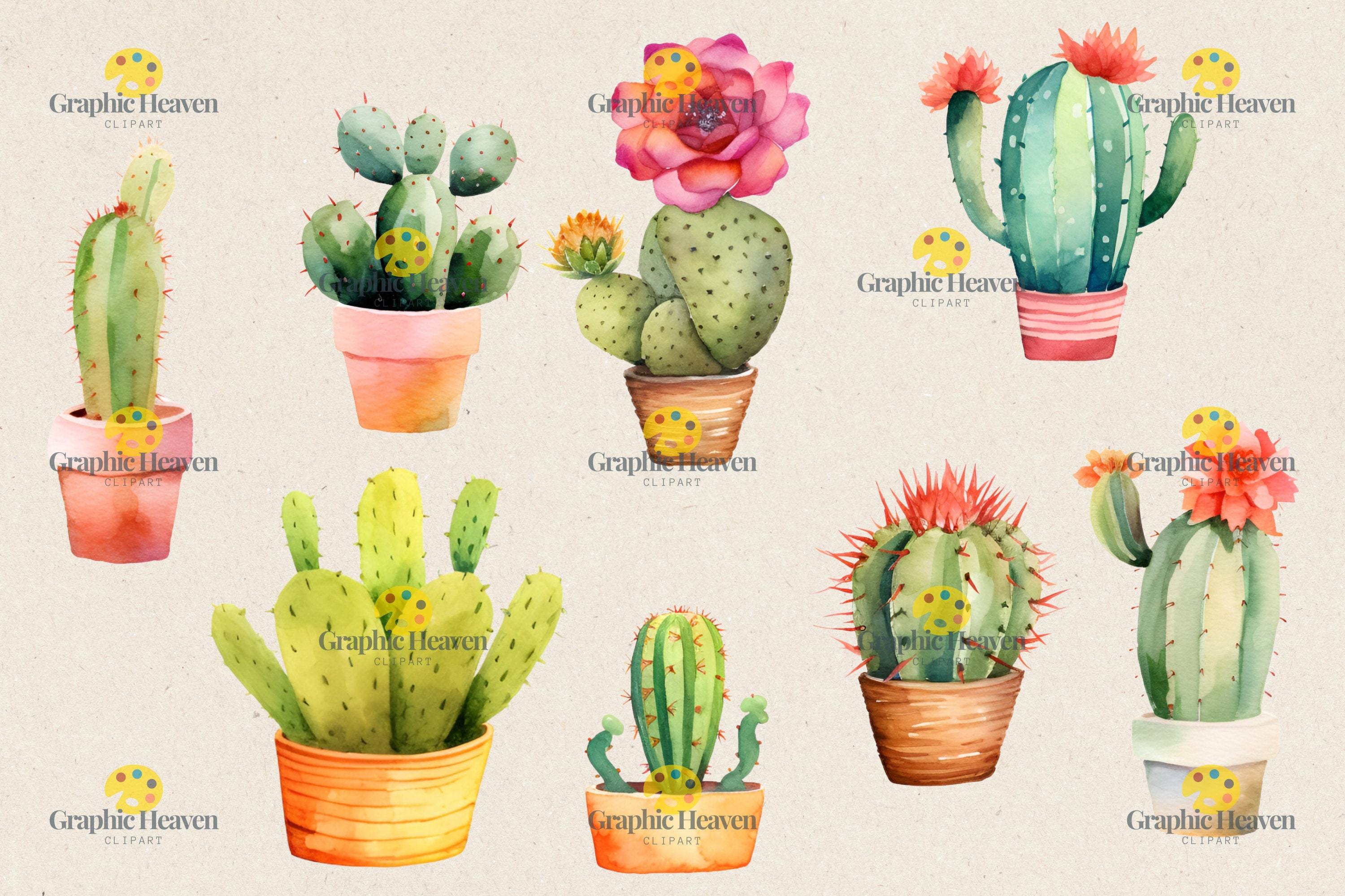 Watercolor Cactus Clipart Digital Png Cactus Graphics Instant Download ...
