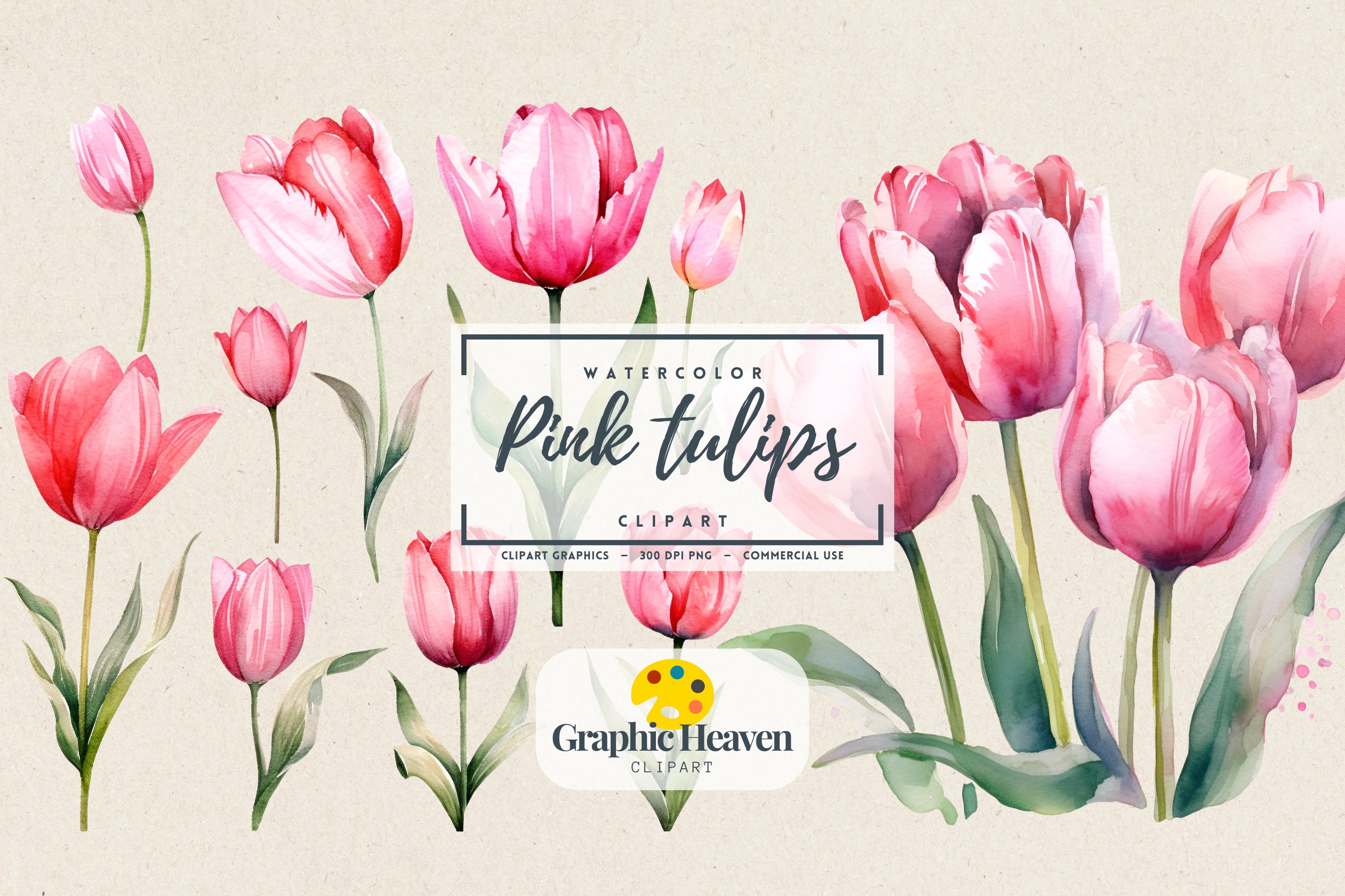 Watercolor Pink Tulips Clipart Digital Png Pink Tulips Graphics Instant ...