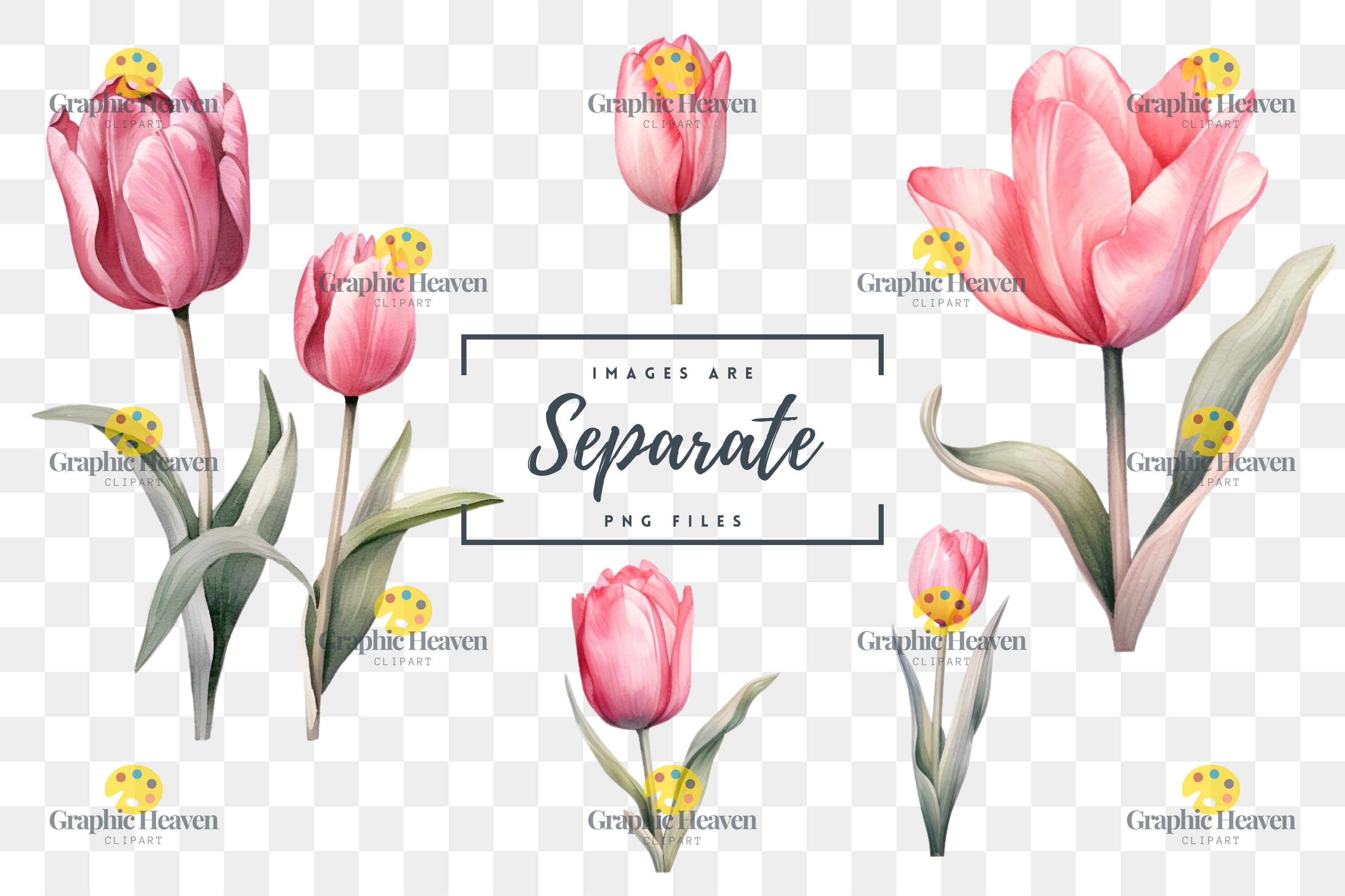 Watercolor Pink Tulips Clipart Digital Png Pink Tulips Graphics Instant ...