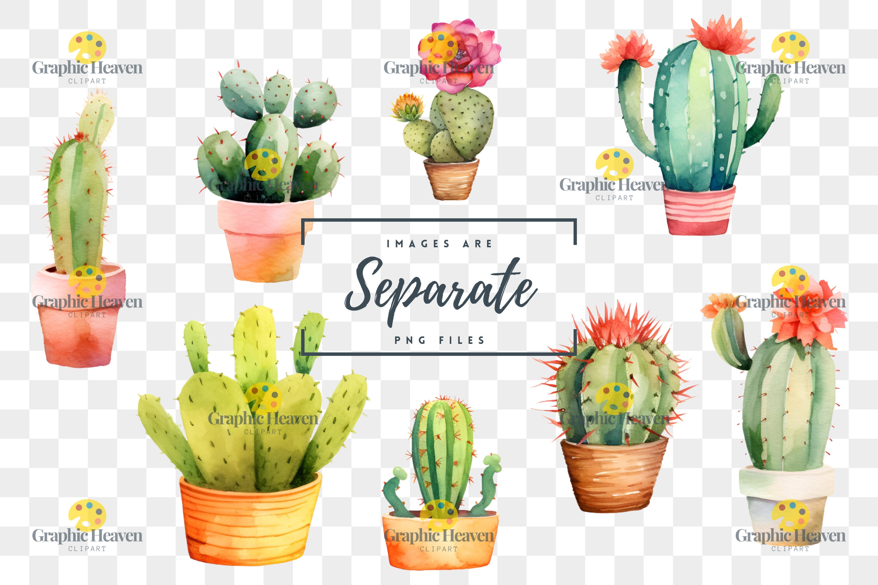Watercolor Cactus Clipart Digital Png Cactus Graphics - Etsy
