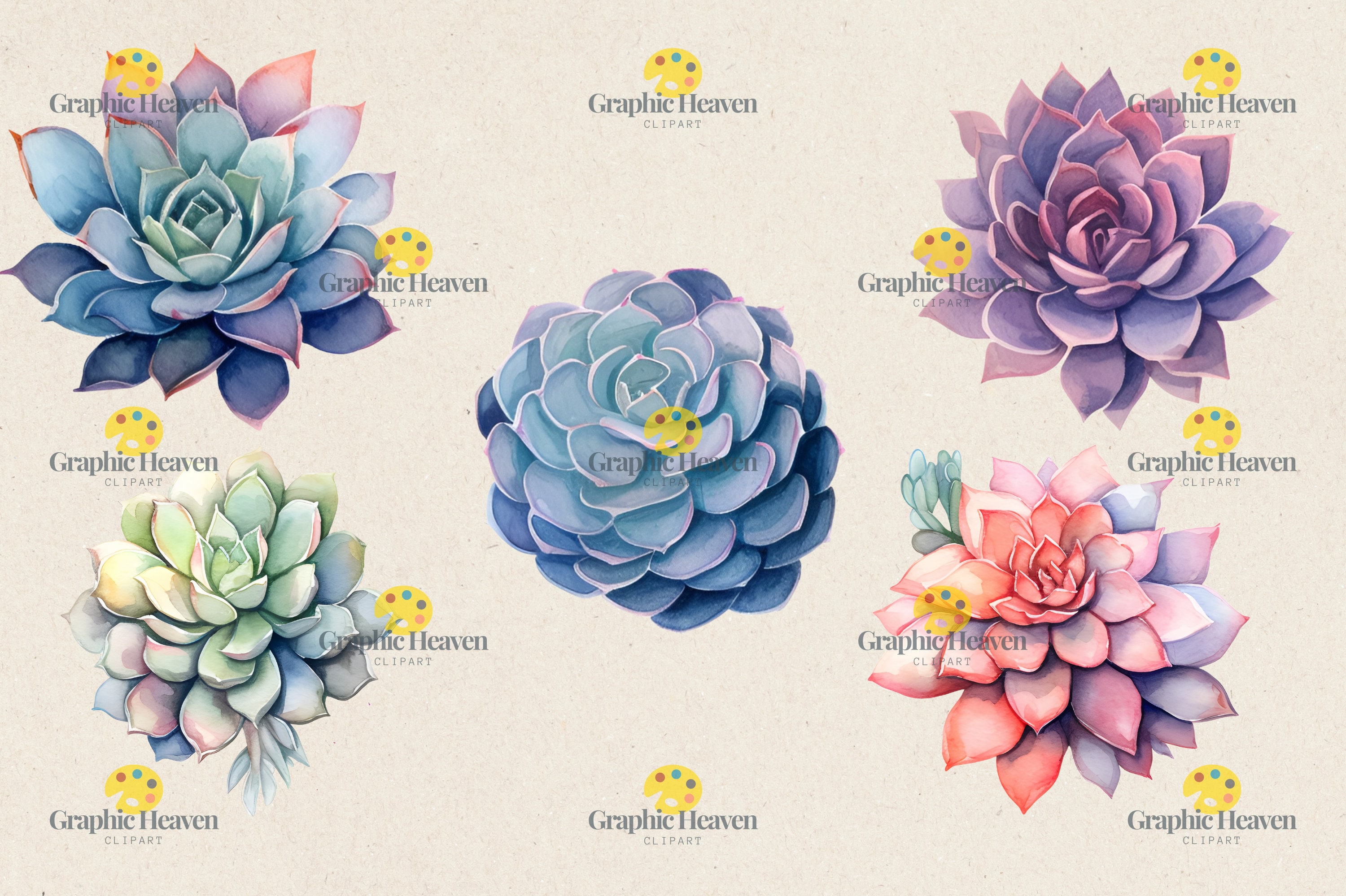 Watercolor Succulents Clipart Digital Png Colorful Succulents Graphics ...