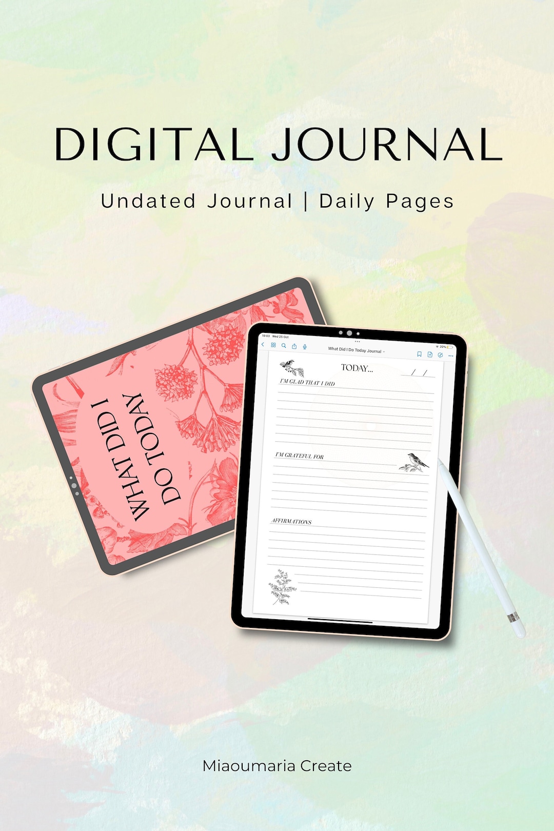 What Did I Do Today: Daily Affirmations, Gratitude and Reflections ...