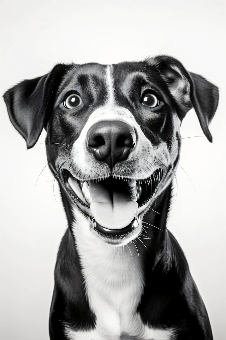 Happy Dog Print, Potcake Dog, Wall Art, Printable Poster, Digital ...