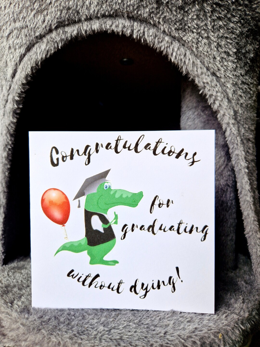 Congratulations for Graduating Without Dying! | Graduation Card ...