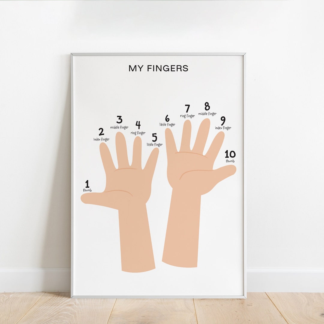 My Fingers Poster: Educational Kids Homeschool Print (digital Download ...
