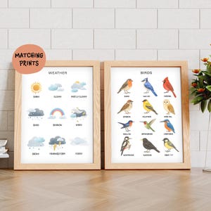 Beautiful Birds Poster, Montessori Bird Identification Chart for Kids ...