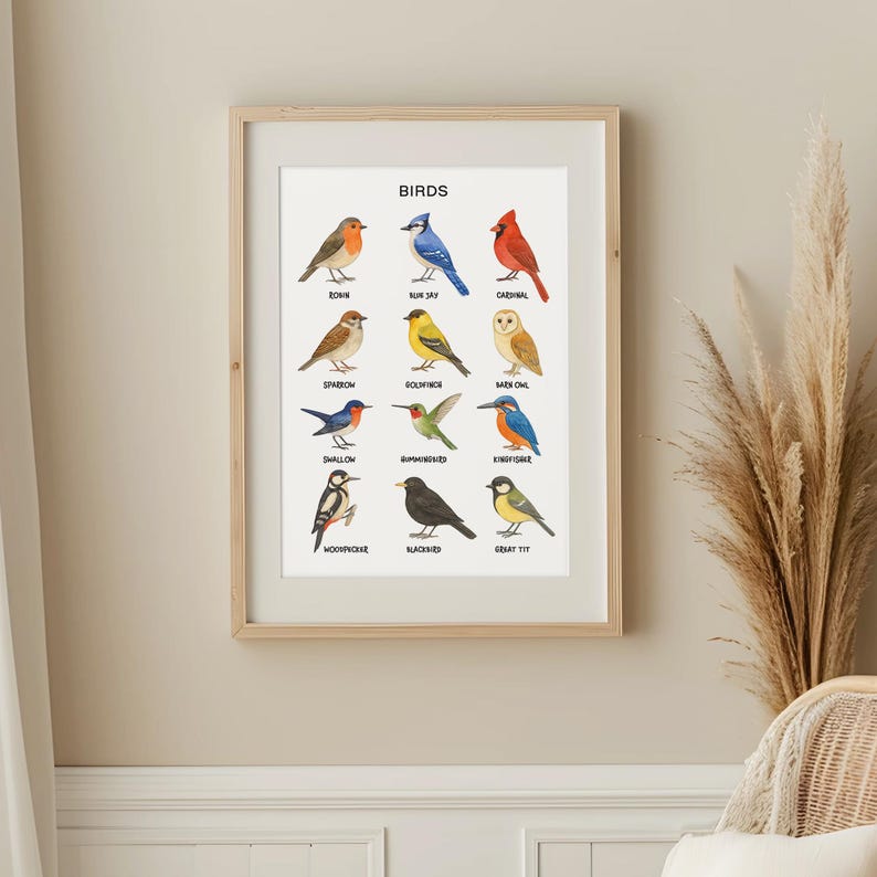 Beautiful Birds Poster, Montessori Bird Identification Chart for Kids ...