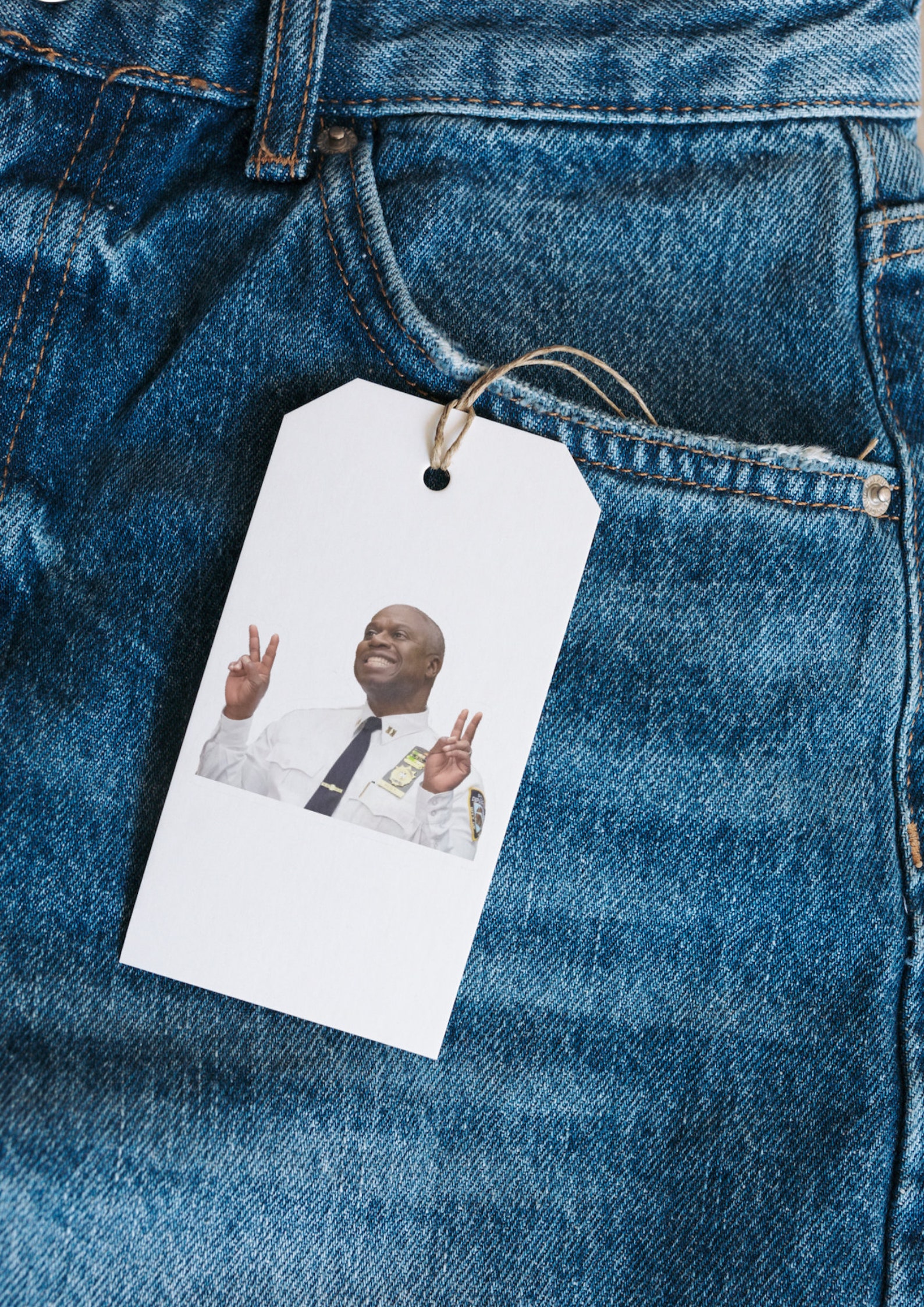Captain Holt Homage SVG Bundle - Brooklyn 99 Designs (digital Download ...