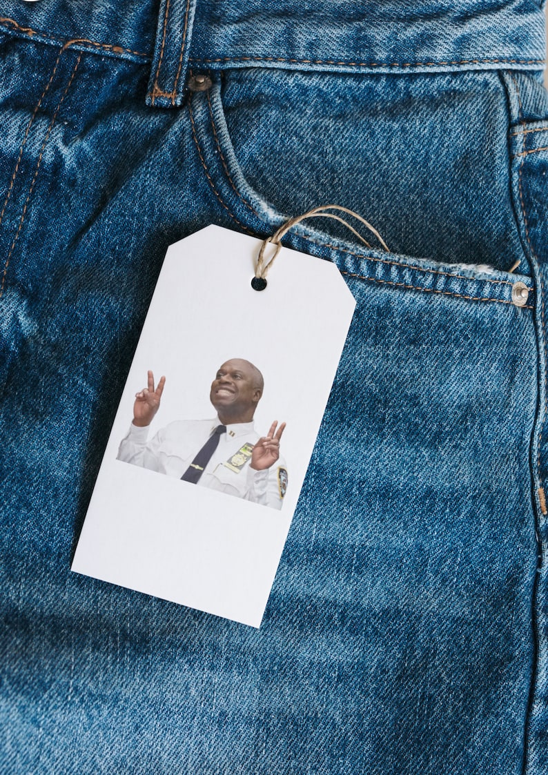 RIP Captain Raymond Holt, NYC 99 TV Show, Rip Andre Braugher, Brooklyn ...