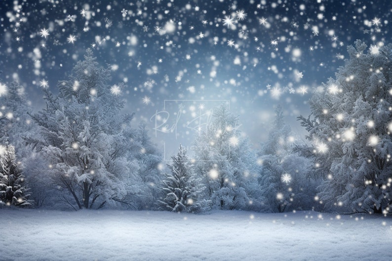 Winter Wonderland Digital Backdrop Bundle, White Christmas Background ...