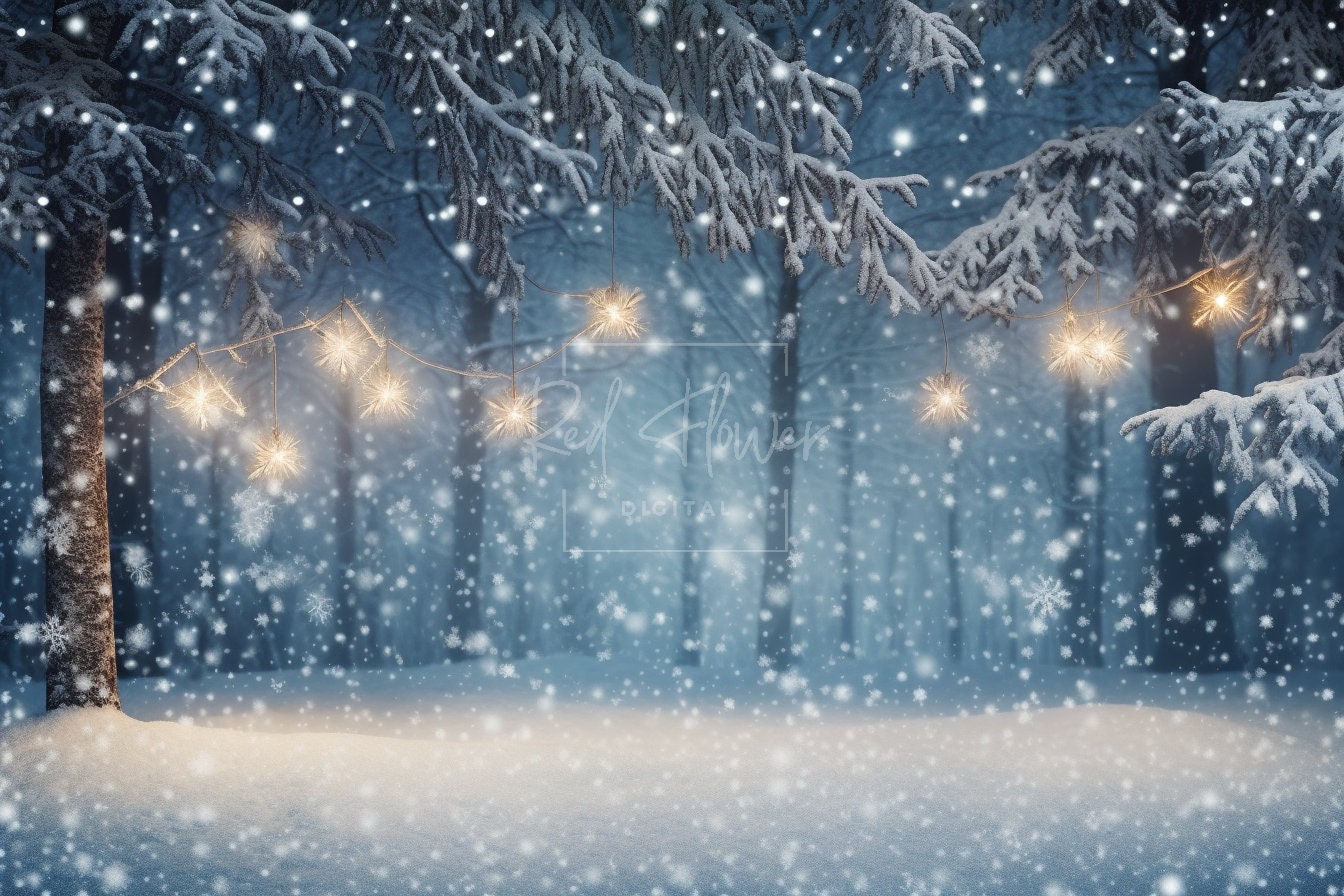 Winter Wonderland Digital Backdrop Bundle, White Christmas Background ...