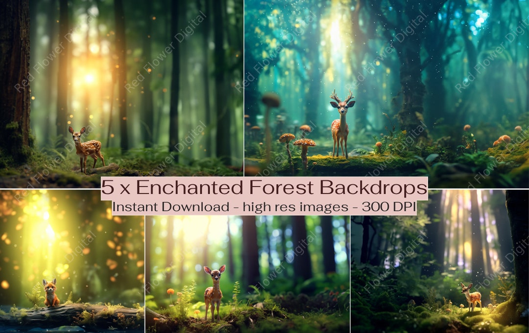 Magical Forest Digital Backdrop Bundle Fairytale Digital - Etsy