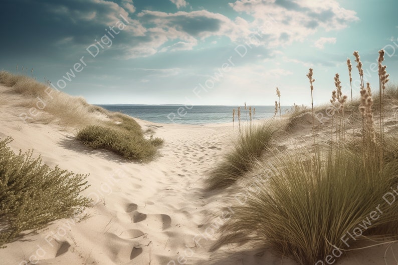 Calm Beach Backdrop Overlays Seaside Digital Backdrops Soft - Etsy