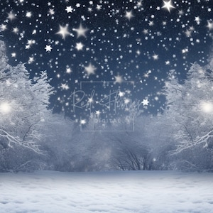 Winter Wonderland Digital Backdrop Bundle, White Christmas Background ...