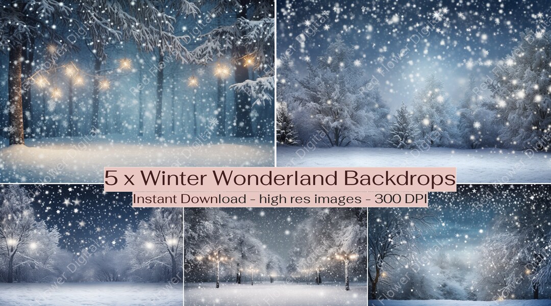 Winter Wonderland Digital Backdrop Bundle White Christmas - Etsy Australia