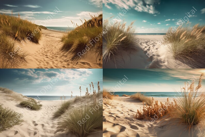 Beach Digital Backdrop Bundle, Sand Dunes Background, Wedding Photoshop ...