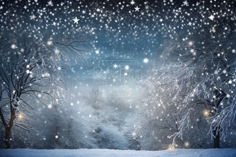 Winter Wonderland Digital Backdrop Bundle, White Christmas Background ...