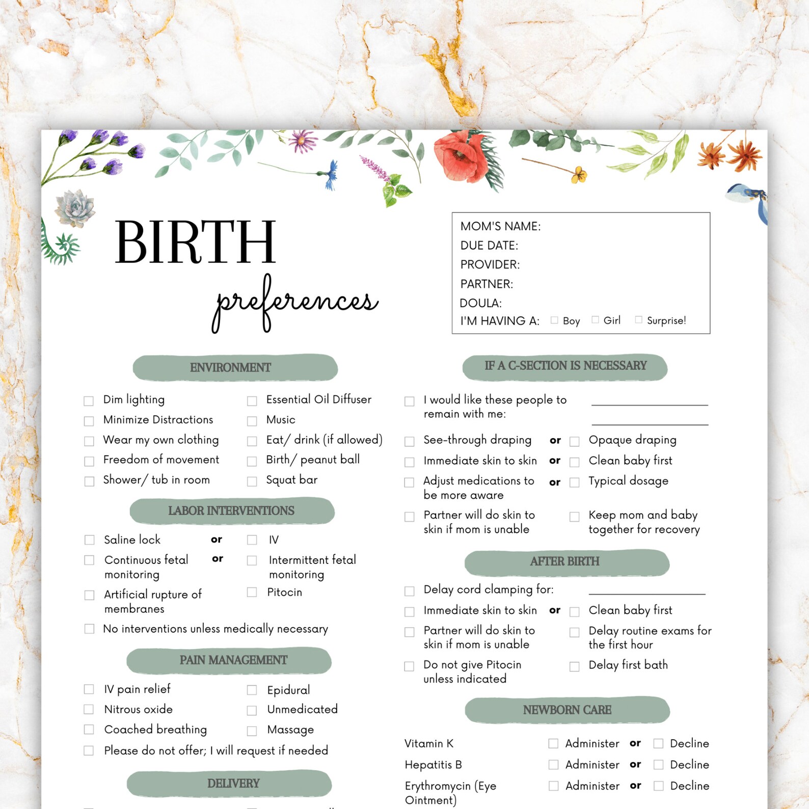 Botanic Birth Plan | Printable | Editable With Canva Template | Birth ...