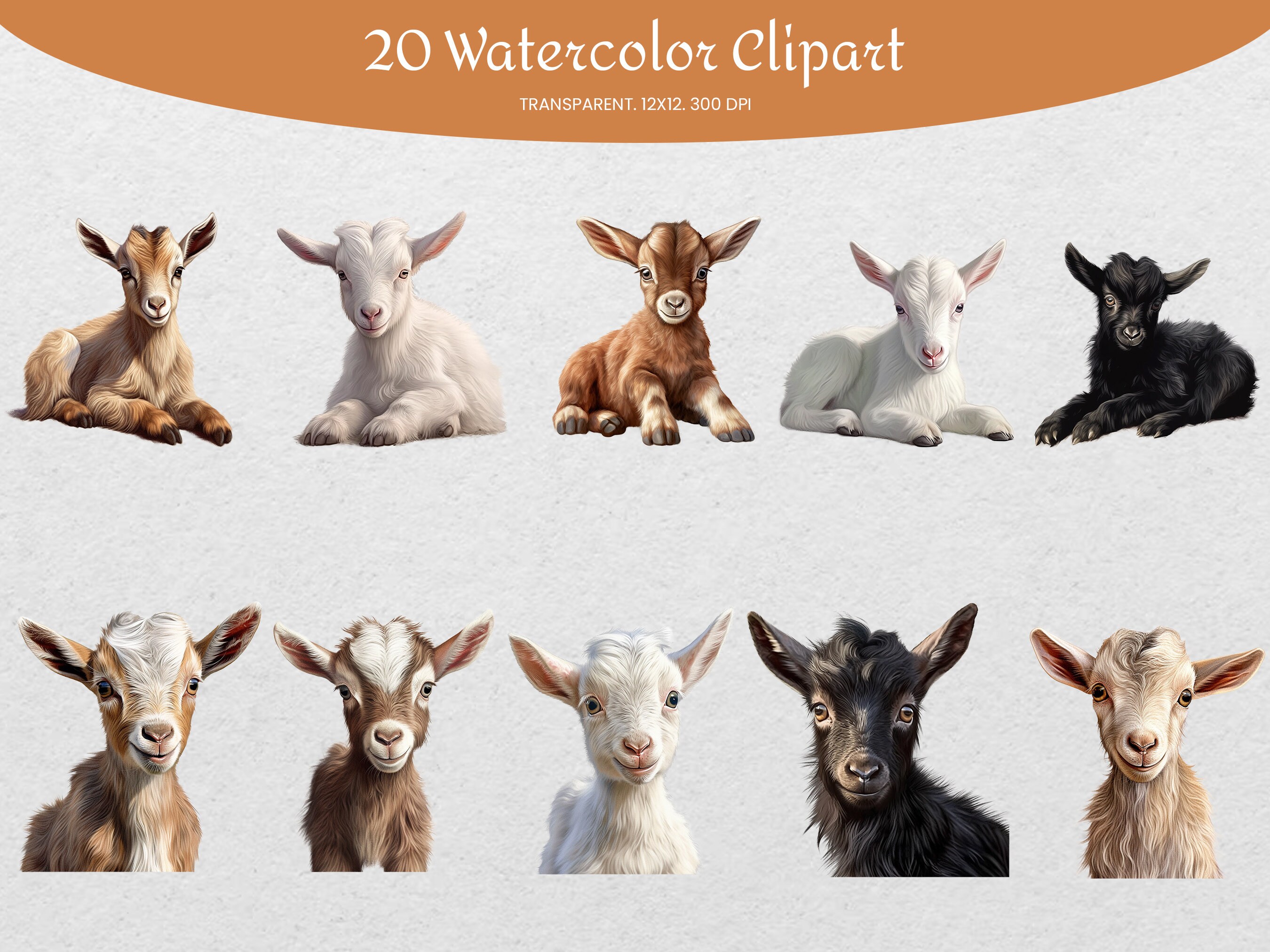 Baby Goat Clipart - 20 Pngs - Transparent - Farm Animals PNG - Cute ...