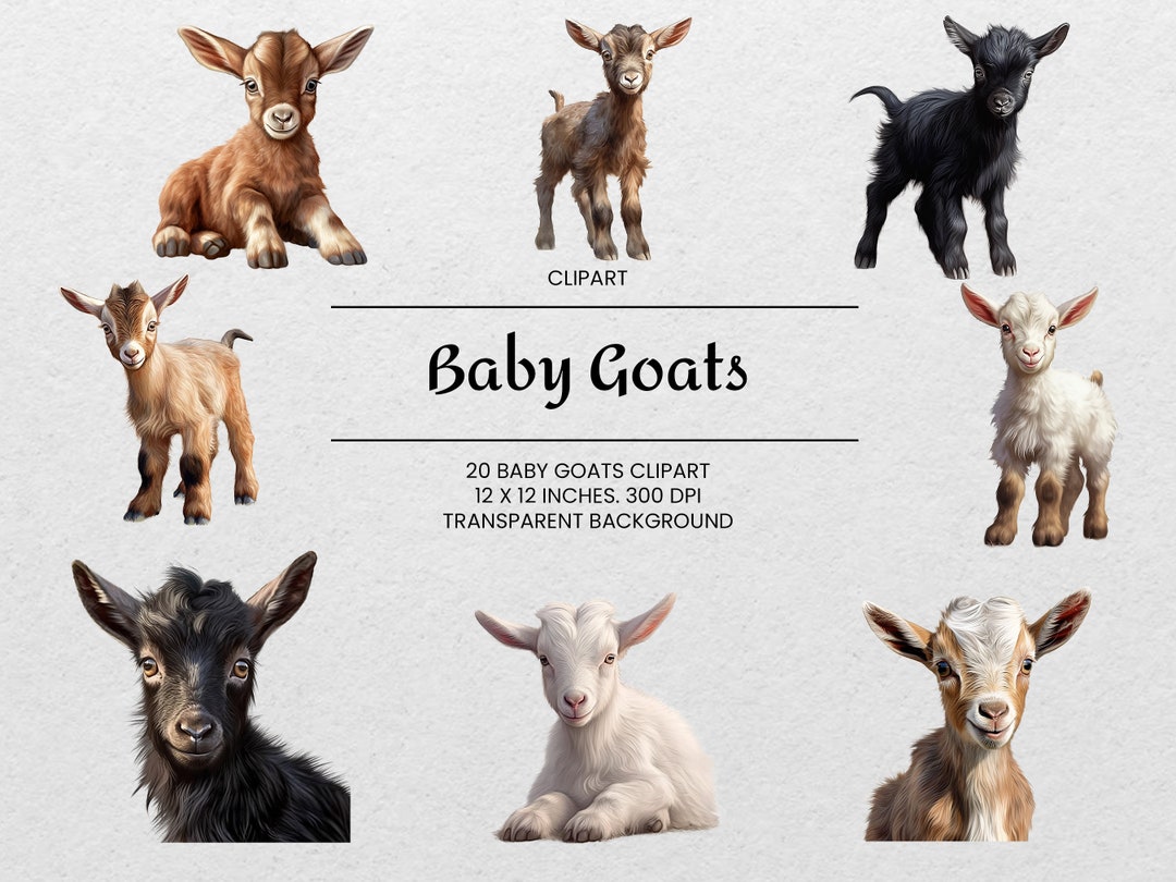 Baby Goat Clipart - 20 Pngs - Transparent - Farm Animals PNG - Cute ...