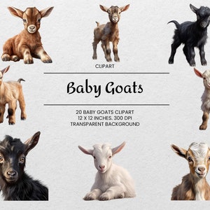 Baby Goat Clipart - 20 Pngs - Transparent - Farm Animals PNG - Cute ...
