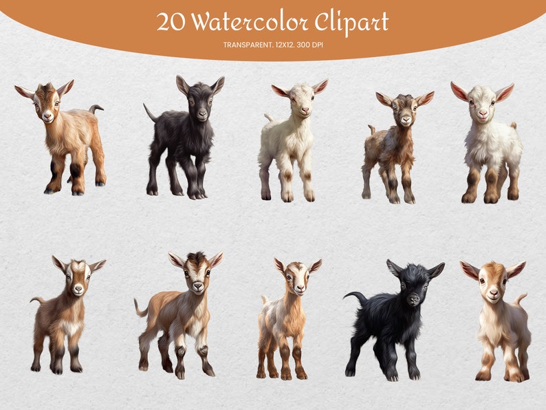 Baby Goat Clipart - 20 Pngs - Transparent - Farm Animals PNG - Cute ...