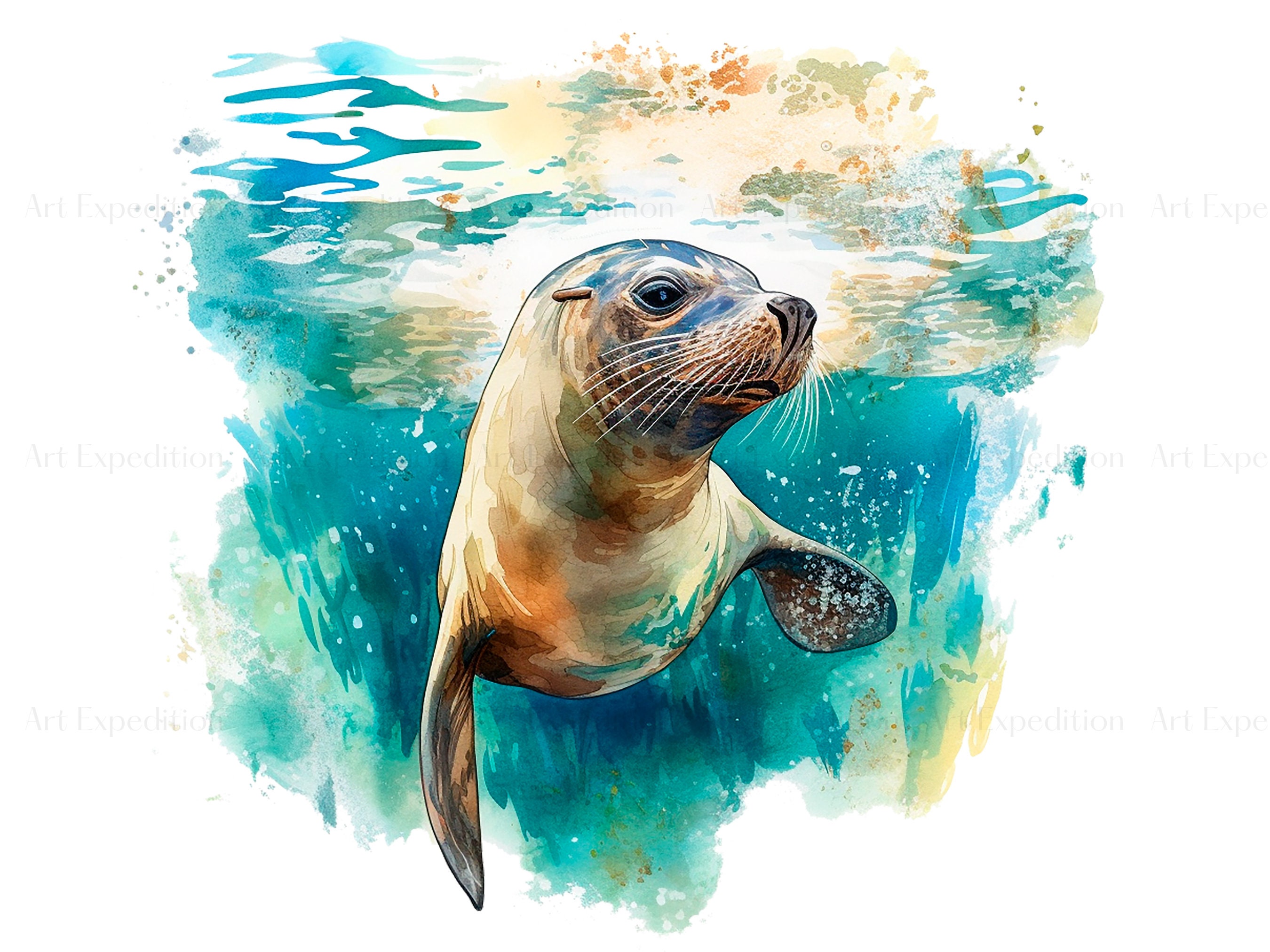 Watercolor Galápagos Islands Animals Clipart PNG Format Instant ...