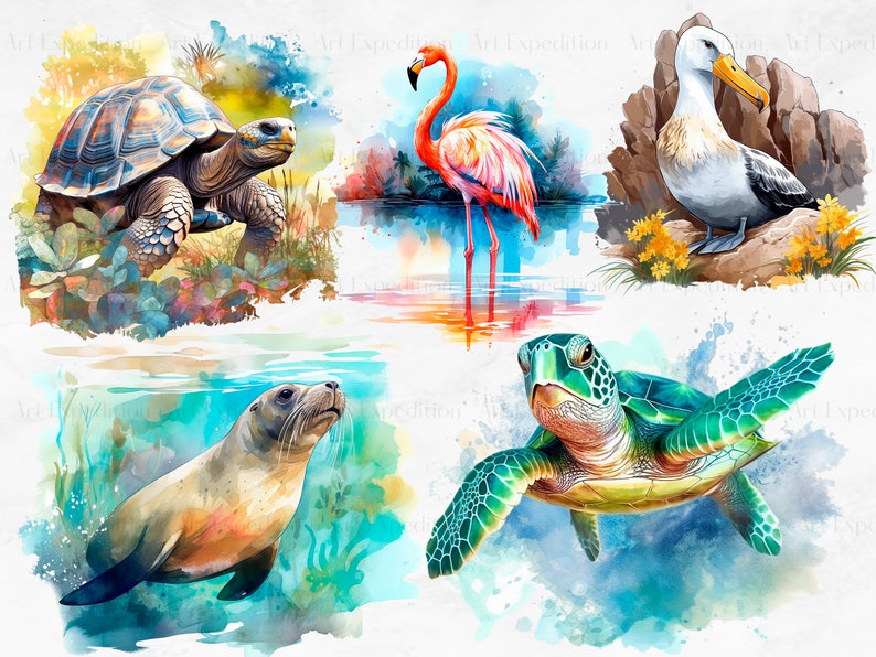 Watercolor Galápagos Islands Animals Clipart PNG Format Instant ...