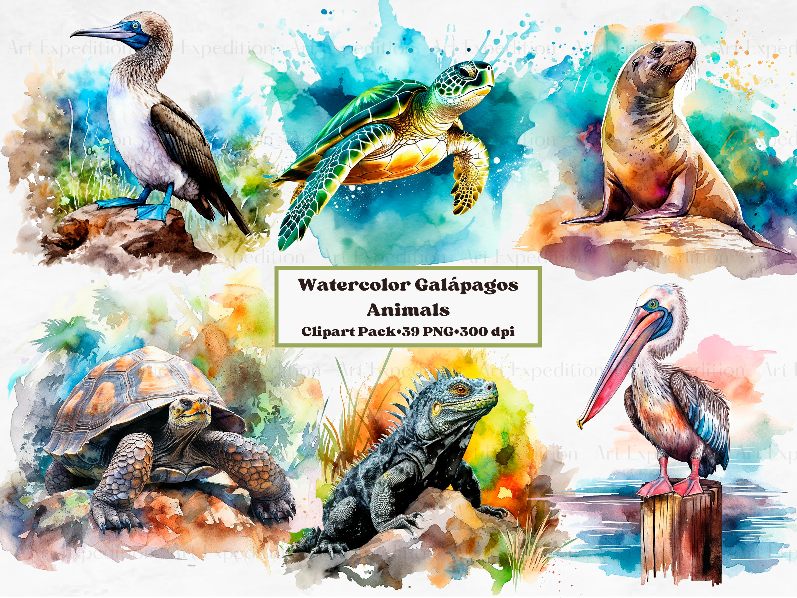 Watercolor Galápagos Islands Animals Clipart PNG Format Instant ...