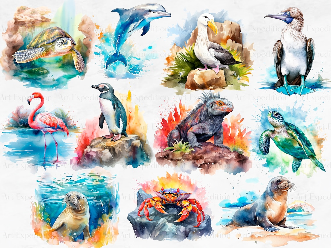 Watercolor Galápagos Islands Animals Clipart PNG Format Instant ...