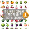100 Fruit Clipart Images Fruit PNG No Background Digital Fruit Stickers ...