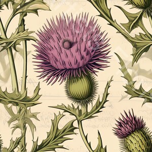 Thistle Tapestry: 12 Digital Seamless Patterns in Botanical Etching ...