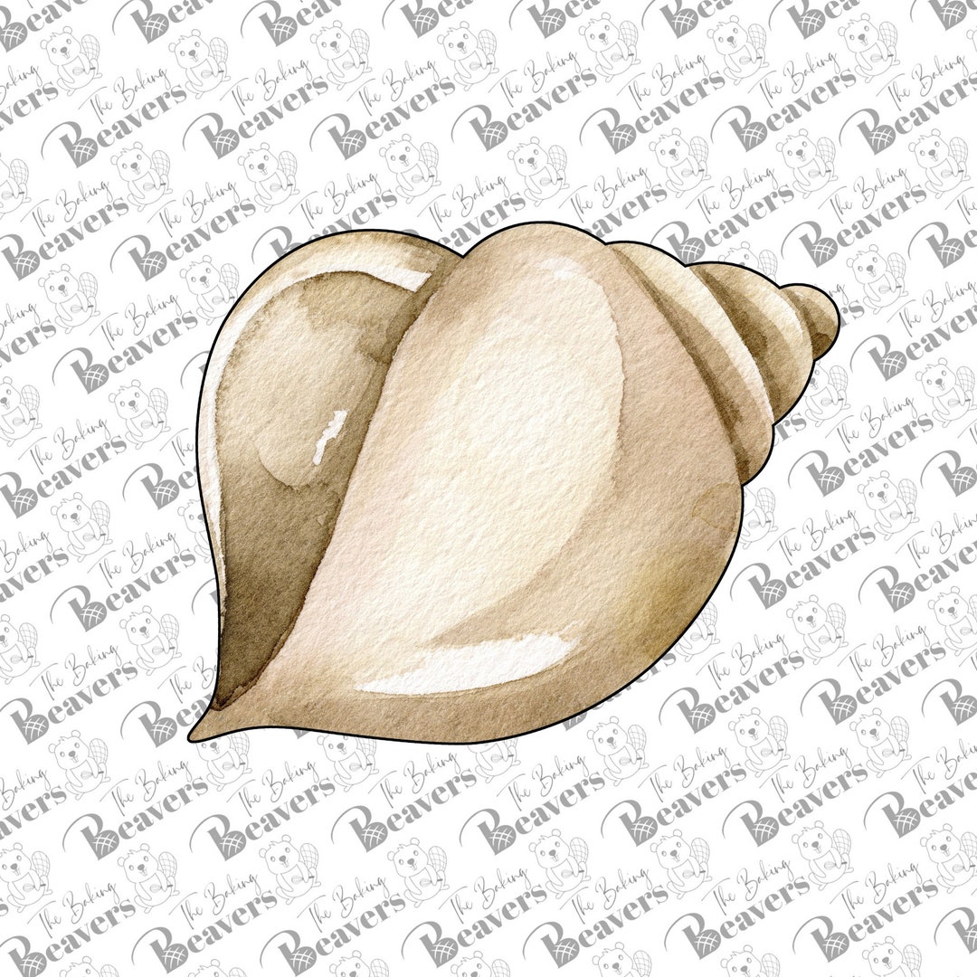 Conch Shell Cookie Cutter - Etsy