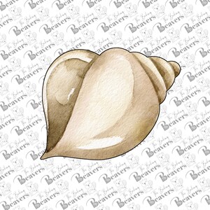 Conch Shell Cookie Cutter - Etsy