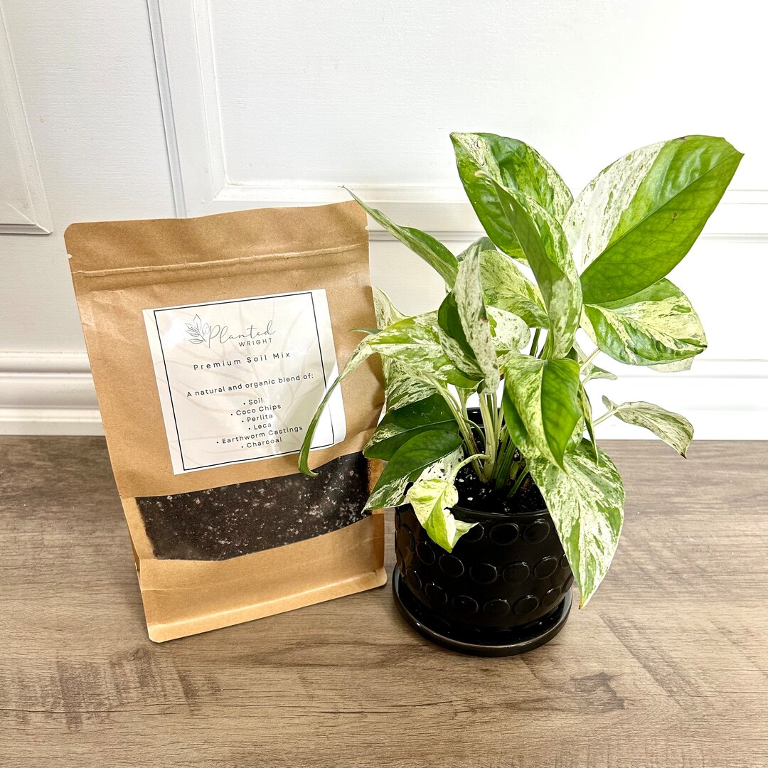 All Natural and Organic Premium Soil Mix Potting Soil Blend for Aroids ...