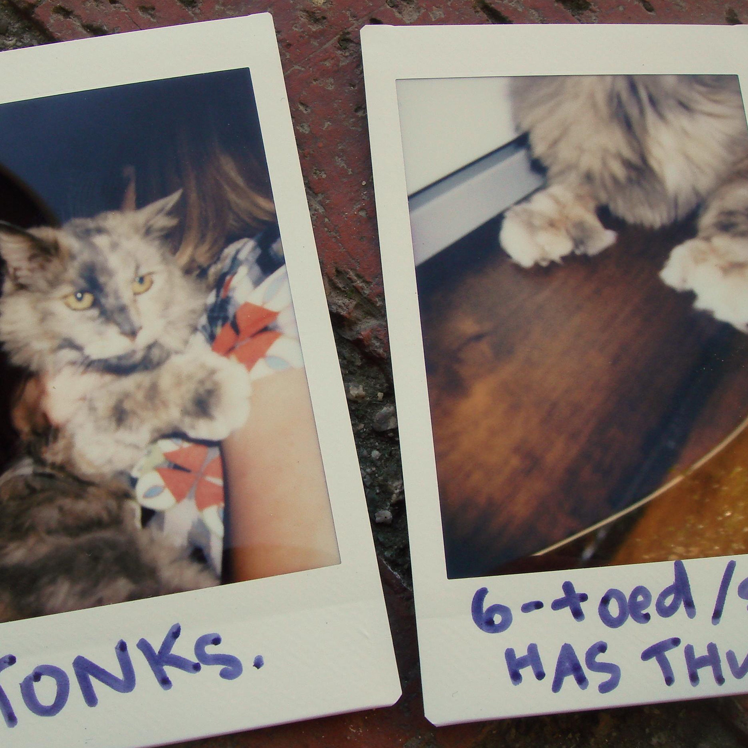 Set of 10 Custom Instax Film Prints Personalized Instax Mini Prints ...