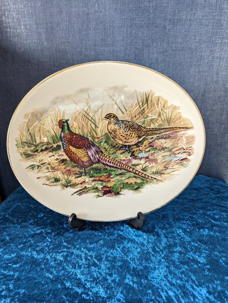 Vintage Duraline Pheasant Oval Plate - Etsy